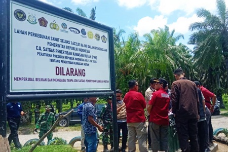 RIAUPAGI.com | 438 Ribu Hektare Kebun Sawit Sitaan Satgas PKH Siap Dikelola untuk Kepentingan ...